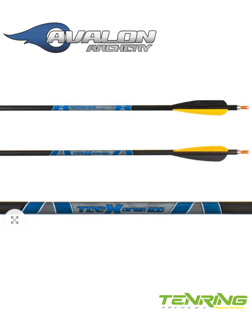 AVALON | TEC X INDOOR CARBON ARROWS | ARROWS & ACCESORIOS | INDOOR ...